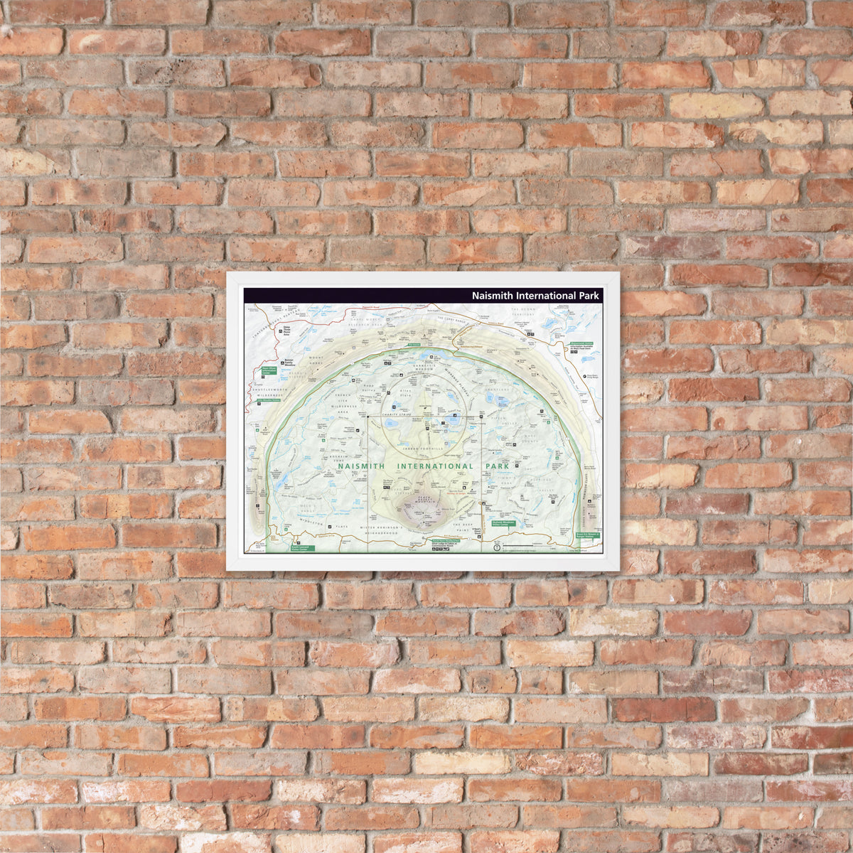 Naismith International Park Map 18x24" Framed – thegoldenhexagon.com
